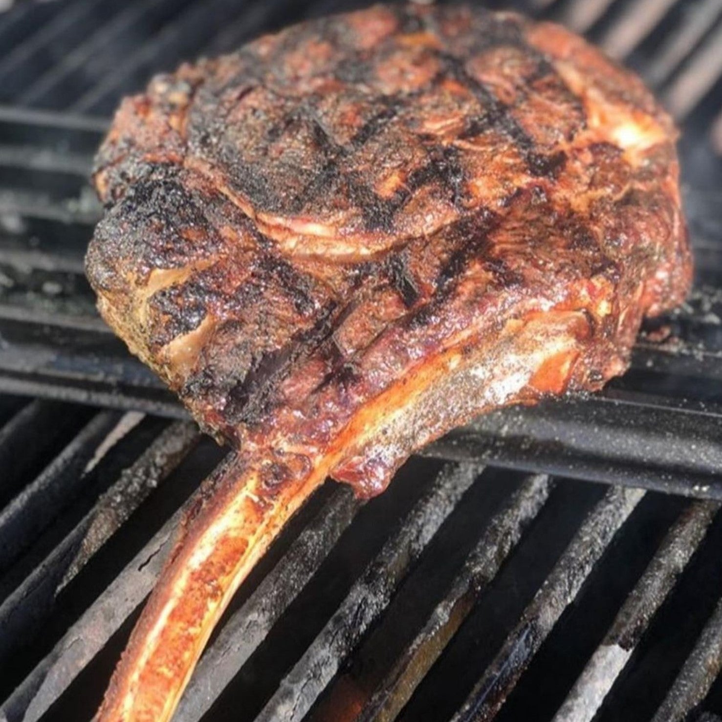 North 40 Beef | World-Class American Wagyu | Nebraska Farm Raised ...